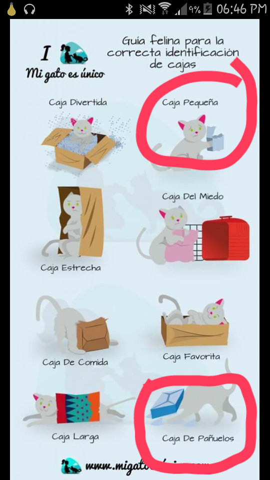 No lo sabia... - Meme subido por CatAroa24 :) Memedroid