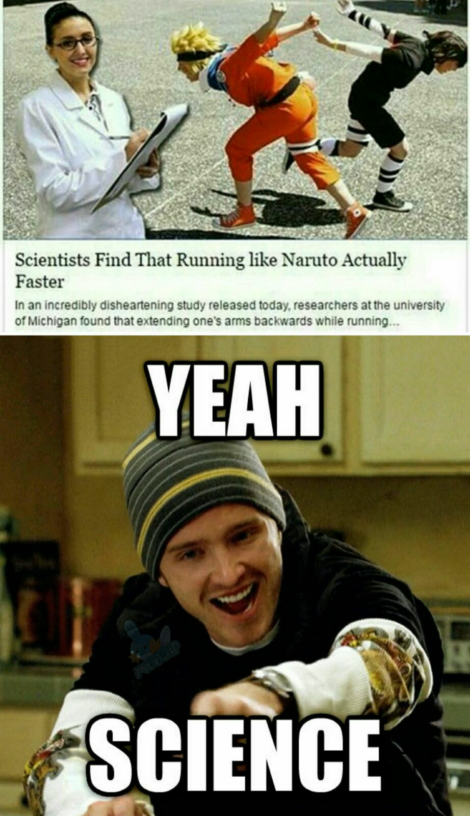 The best Whshd memes :) Memedroid