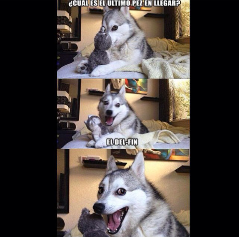 Delfines.. - Meme subido por asdff :) Memedroid