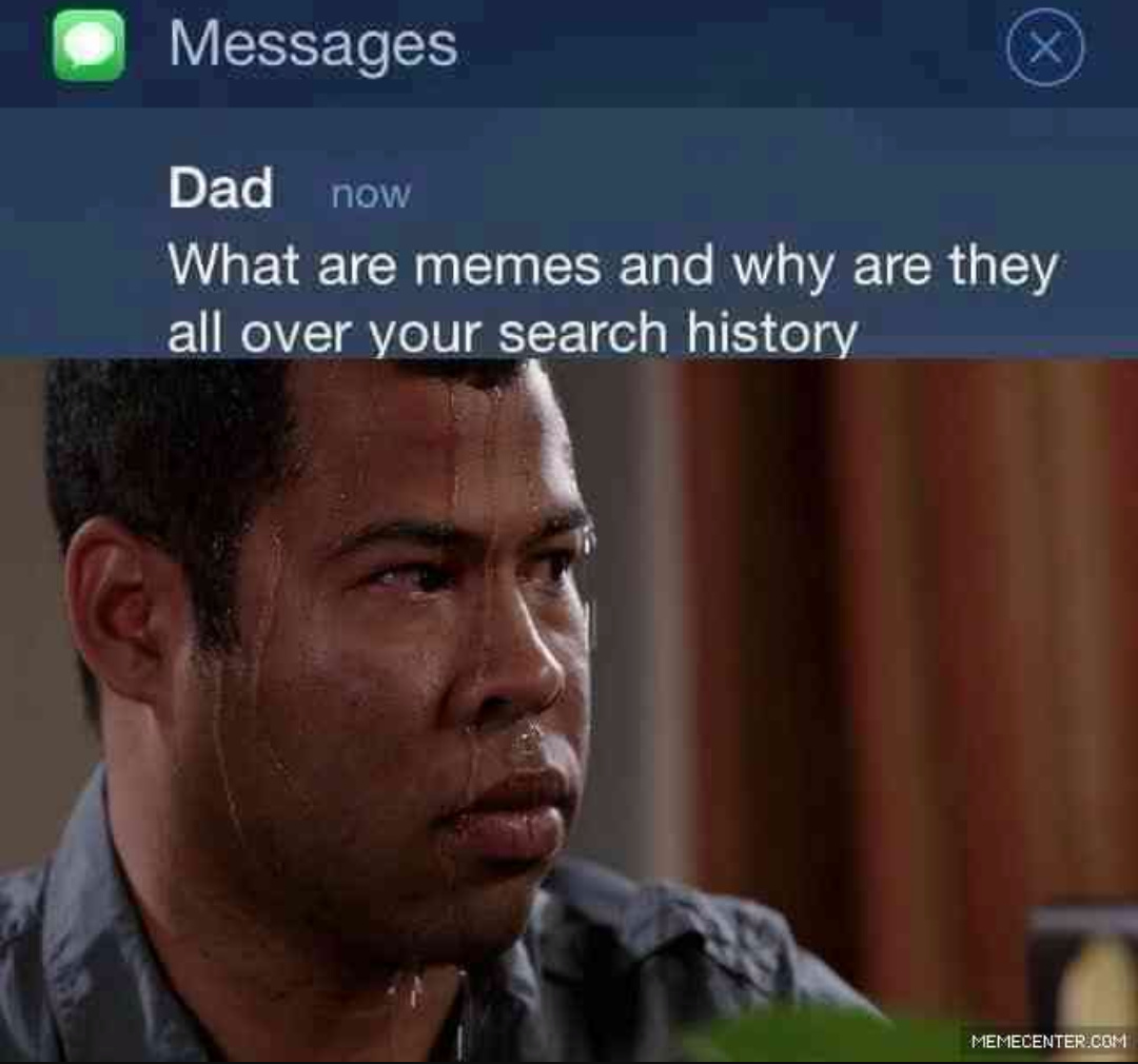 Damn! Not enough time to hide these memes - Meme by chickenbooce ...