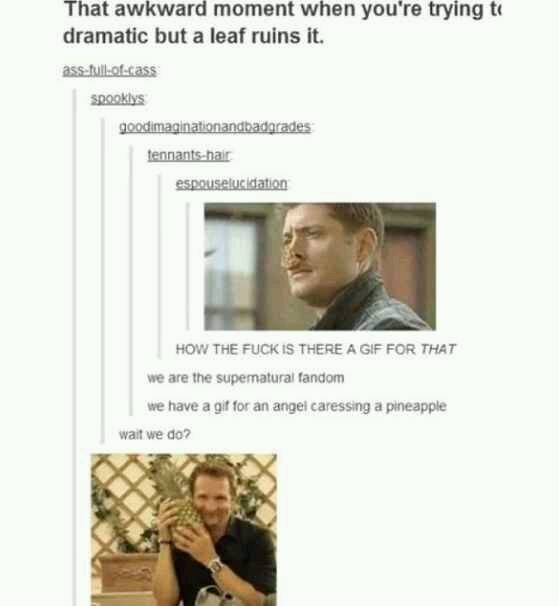 Dean - Meme by Amandafaulhaber :) Memedroid