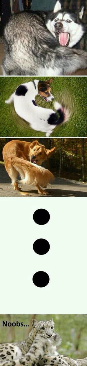 Meme by dddsss :) Memedroid