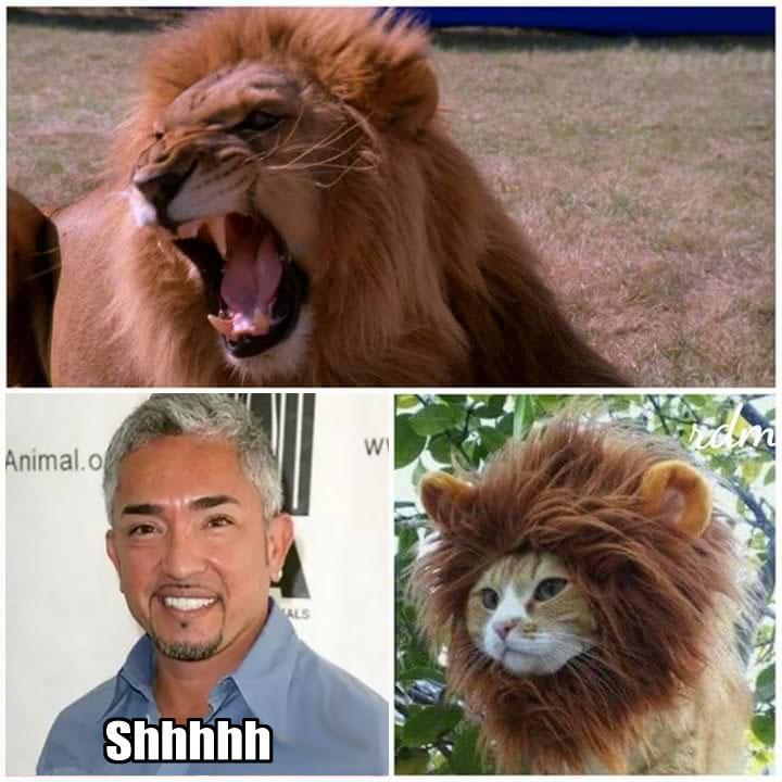 Shh - Meme subido por Unerrealmas :) Memedroid