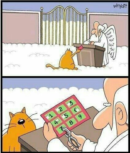 la explicación - Meme subido por elninja :) Memedroid