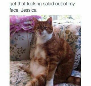 The best Pudsy memes :) Memedroid