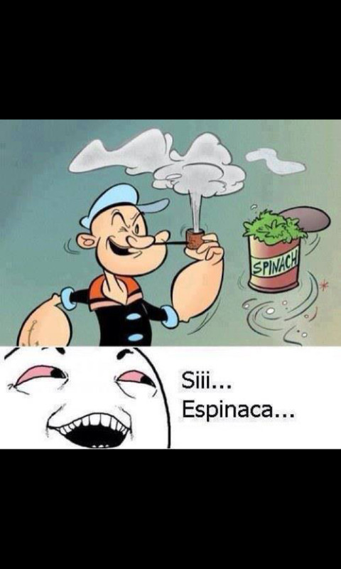 Memes Espinacas Bladerdeeg Met Kip, Spinazie En Gorgonzola