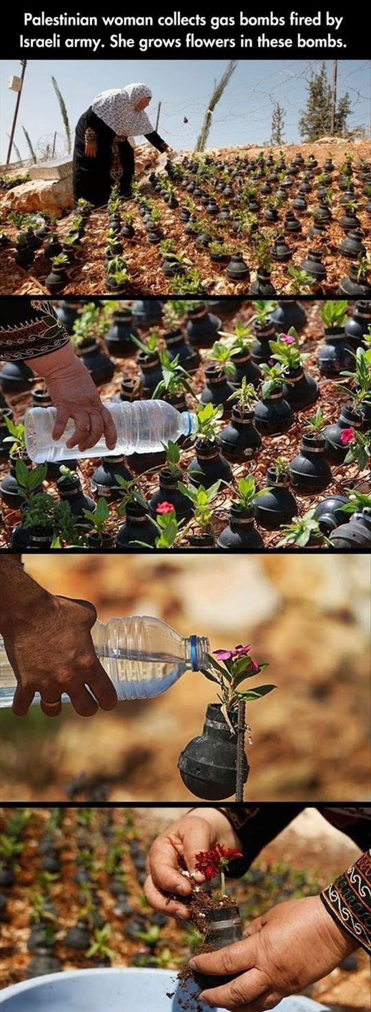 Recycling at its best - Meme by bryanlobo :) Memedroid