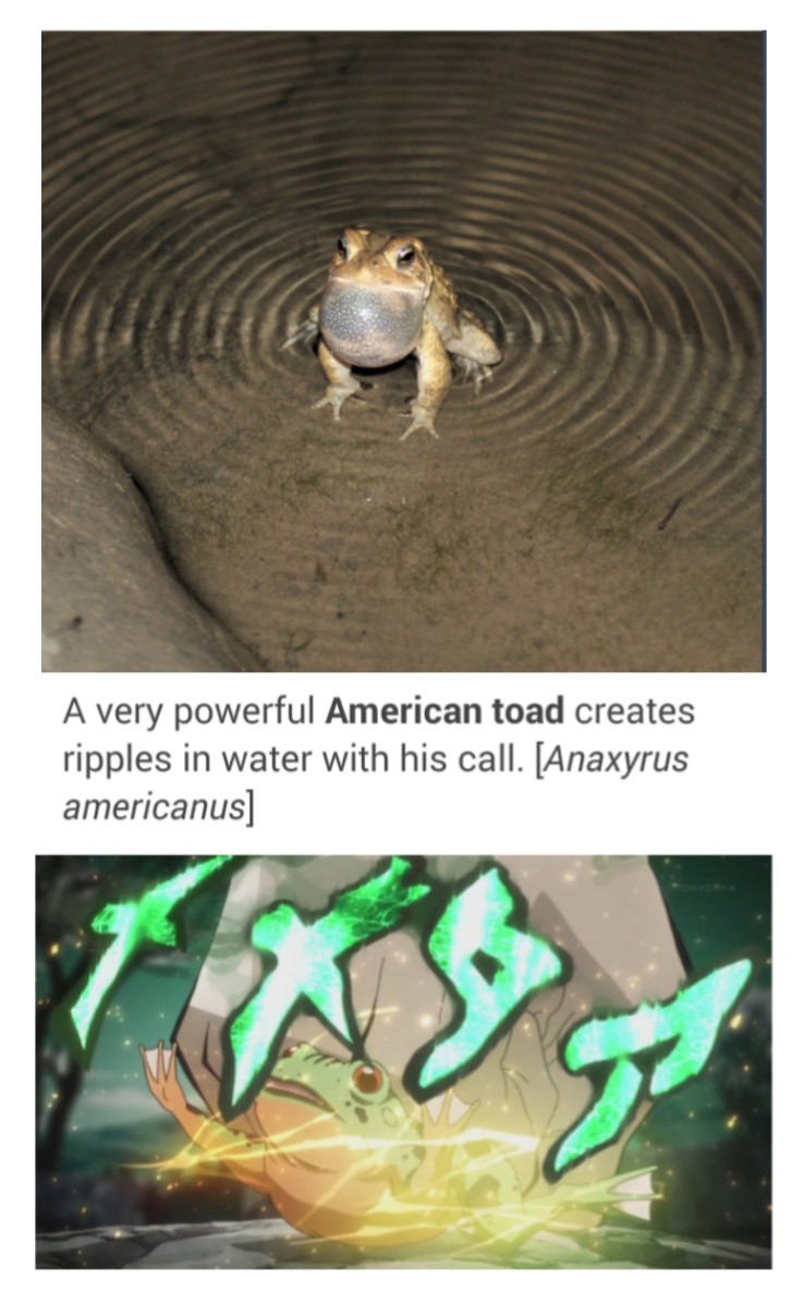 The best Ripple memes :) Memedroid