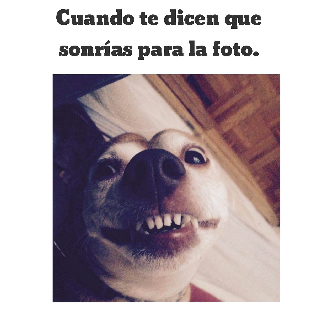 Sonrisa - Meme subido por dannydirectioner :) Memedroid