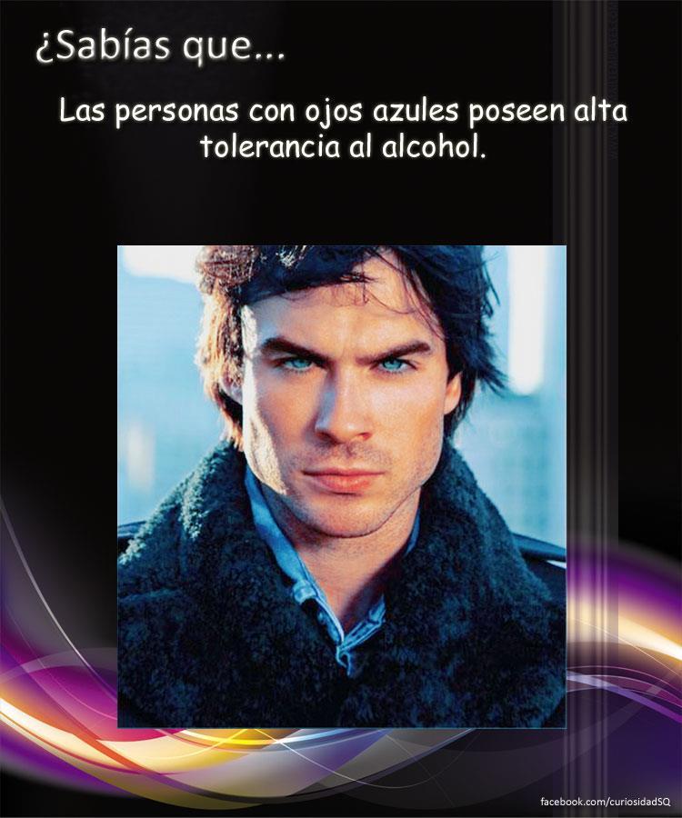 Doy fe - Meme subido por WweFifaFan :) Memedroid