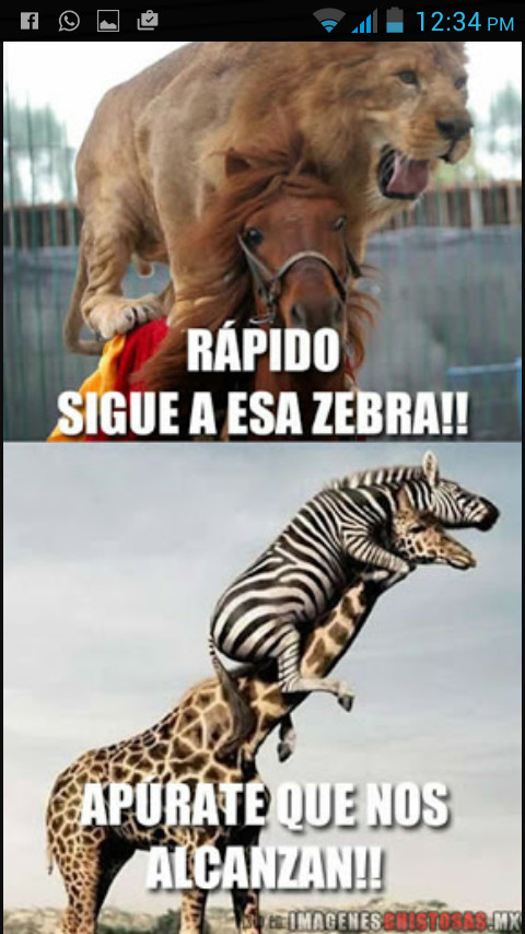 Arre jirafa! - Meme subido por Lezamakawaii18 :) Memedroid