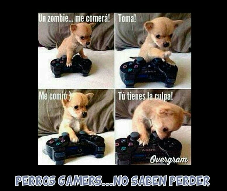 Que lindo - Meme subido por ddan :) Memedroid