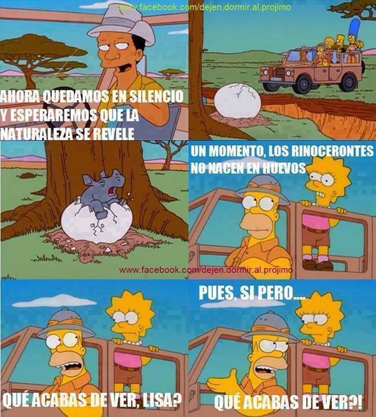 Que es lo que acabas de ver >.