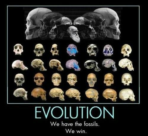evolution passes modernization - Meme by EchonHerb :) Memedroid
