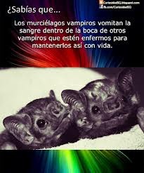 Sabias que? - Meme by alvarodiazg10 :) Memedroid