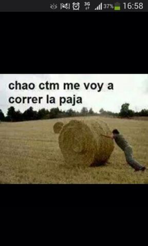 me voy a correr paja - Meme subido por rojitas :) Memedroid