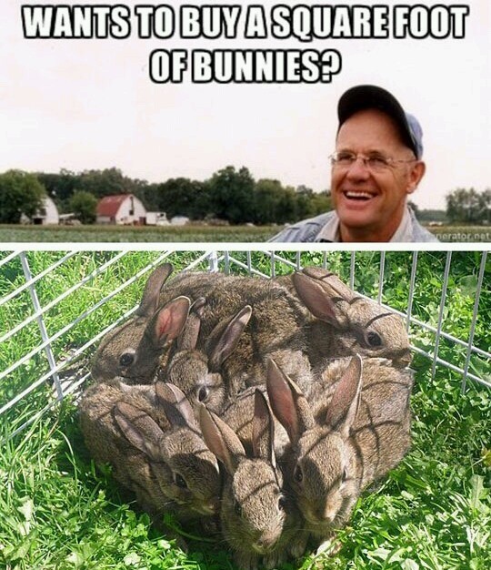 $666.69 Per square foot - Meme by LordTimmay :) Memedroid