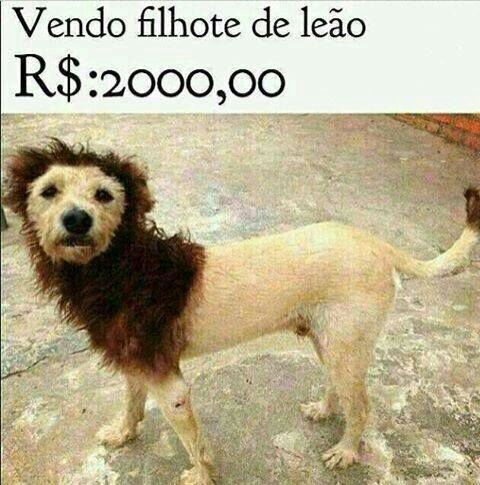 Me liga 40028922 - Meme by 00kirito00 :) Memedroid