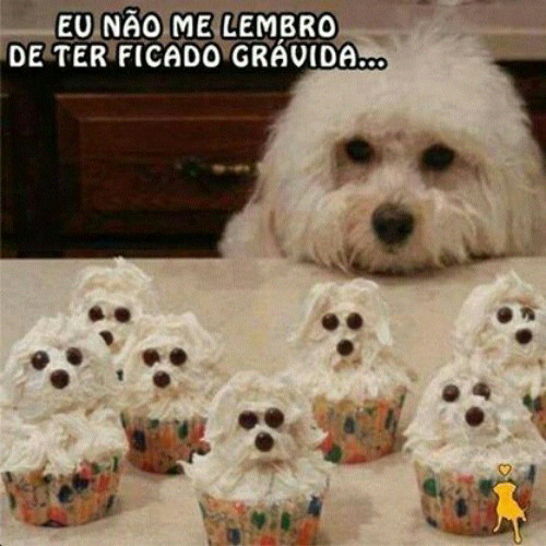 lindo - Meme by PequenaKaah :) Memedroid