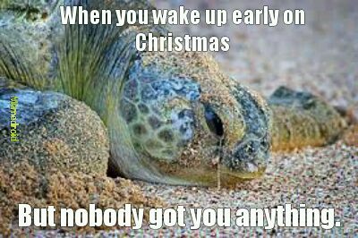 My life is Al Capone - Meme by killadudechad :) Memedroid