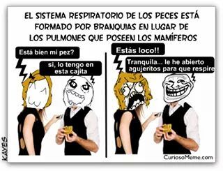 Top memes de Jlp en español :) Memedroid