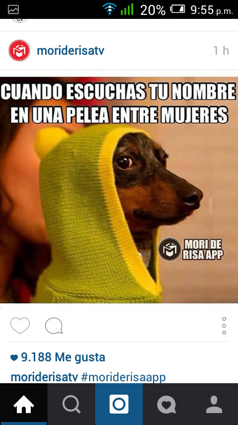Top memes de Bobert en español :) Memedroid