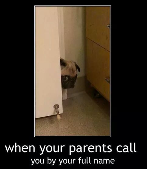 when you know its going to be a bumpy ride - Meme by debaphonix ...