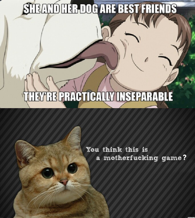 The best dna memes :) Memedroid