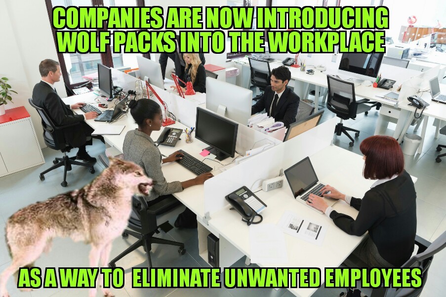 It's the humane thing to do - Meme by Darwood_rules :) Memedroid