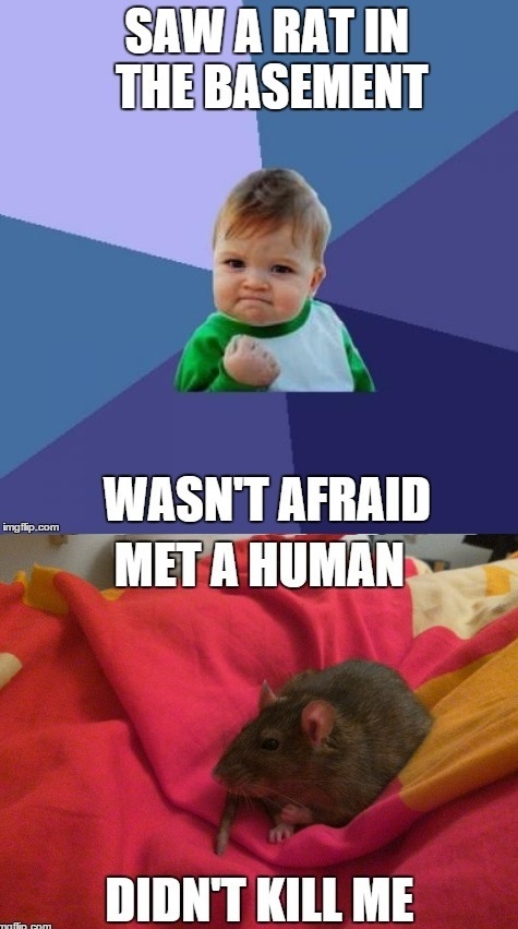 I'm actually terrified of mice - Meme by maniac1212 :) Memedroid