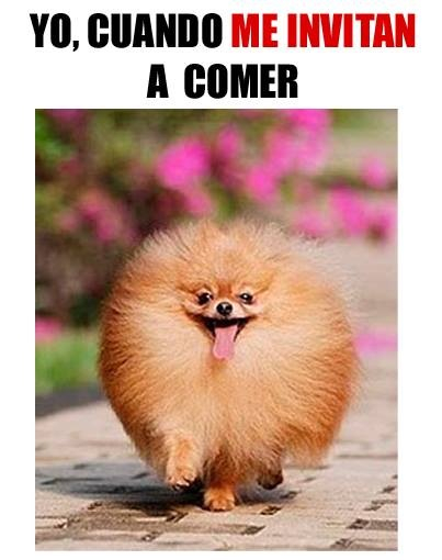 Comida :) - Meme subido por tcabreraenlinea :) Memedroid