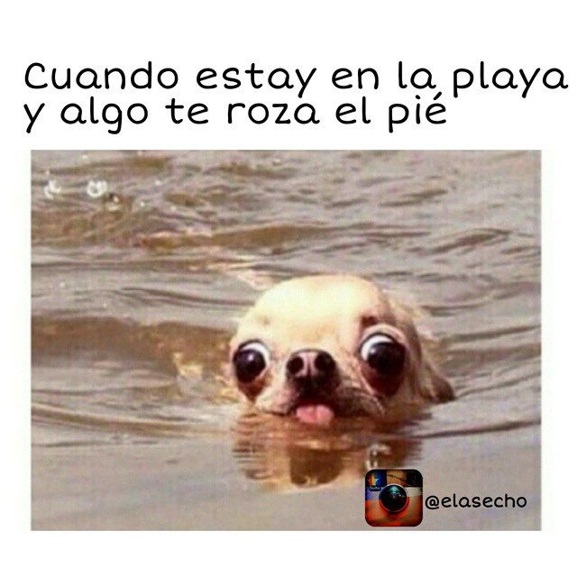 Que Significa Ctm Memes