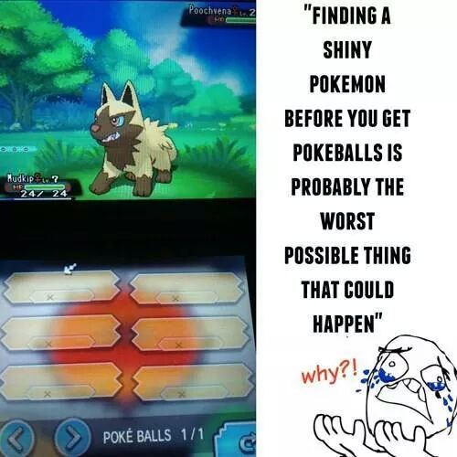 Y u do dis - Meme subido por Smoshfan_1 :) Memedroid