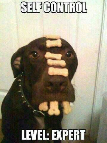 Self control - Meme subido por pepepedo :) Memedroid