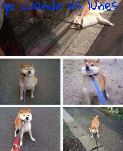 Top memes de Bxjd en español :) Memedroid