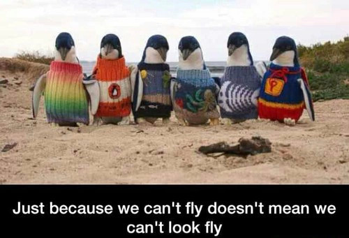 Look fly - Meme by AndromedaGX :) Memedroid