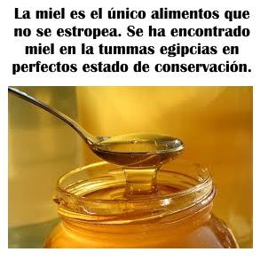 Miel - Meme subido por Darkvid26 :) Memedroid
