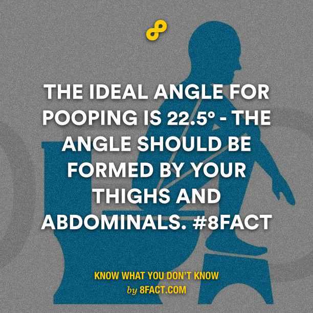 pooping ideal angle - Meme subido por ahadsy5 :) Memedroid