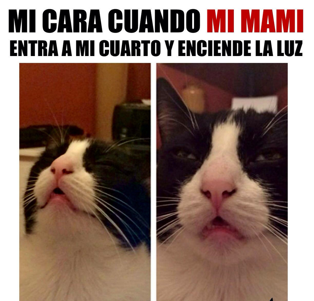 Top memes de Vhjbj en español :) Memedroid