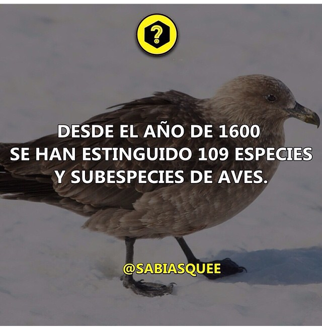 Sabias quee?? - Meme by alonsolira :) Memedroid