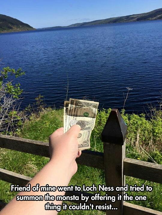 Tree fitty - Meme by soydolphin :) Memedroid