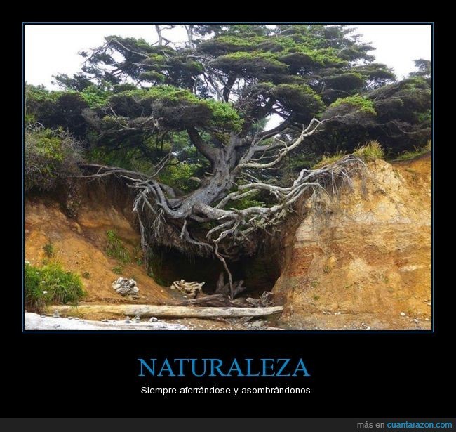 Naturaleza - Meme subido por Marcos217 :) Memedroid