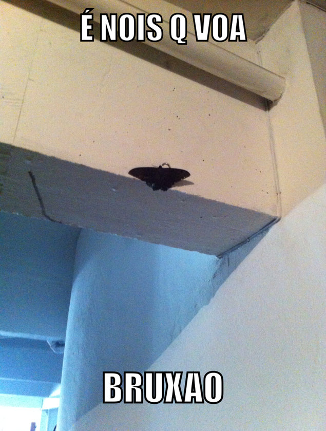 Voa memu - Meme by Ninja_arroz :) Memedroid