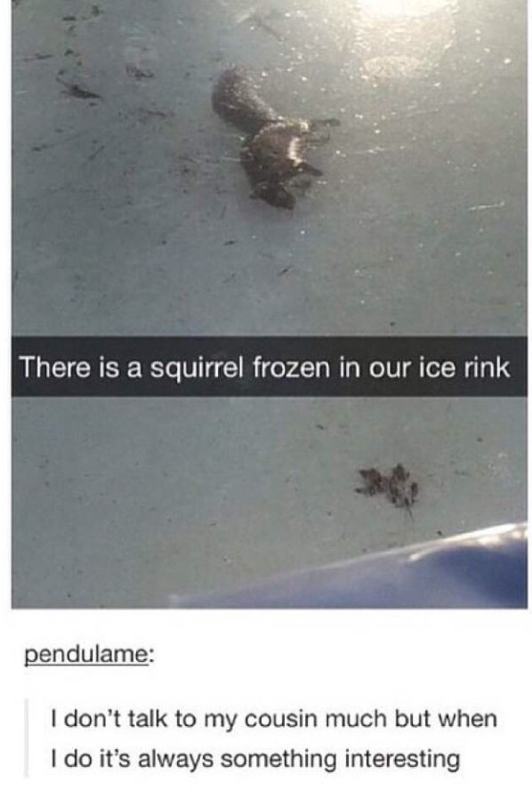 The best Icc memes :) Memedroid