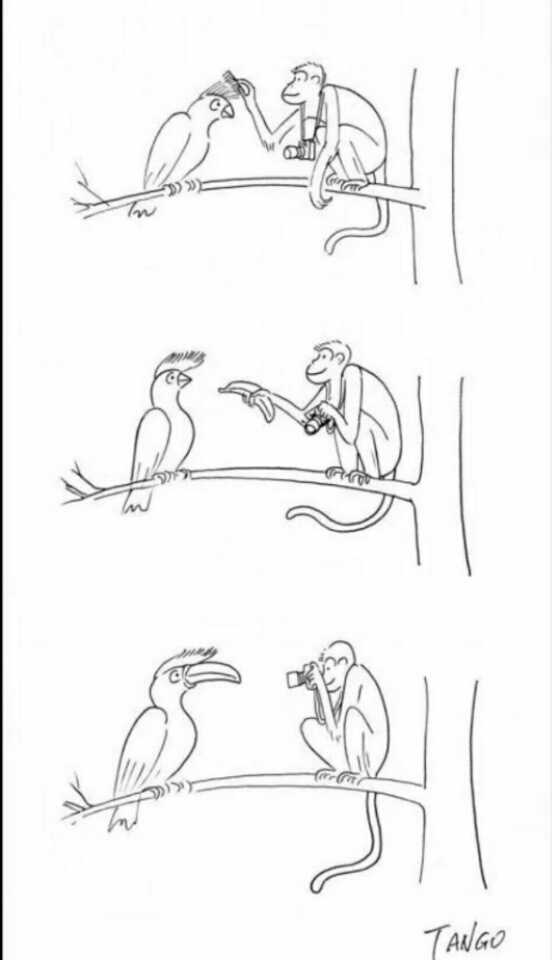 Tango - Meme subido por madolell :) Memedroid