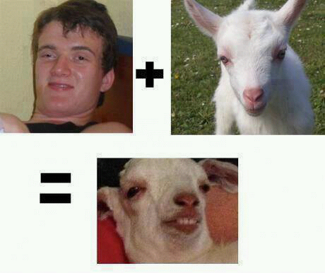 Geta de chivo - Meme subido por Juxn12 :) Memedroid