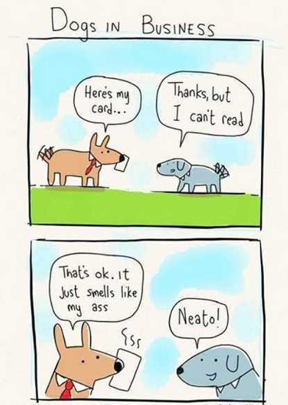 business dogs - Meme by mustafatopi :) Memedroid