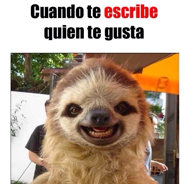 si la neta si - Meme subido por cris125 :) Memedroid