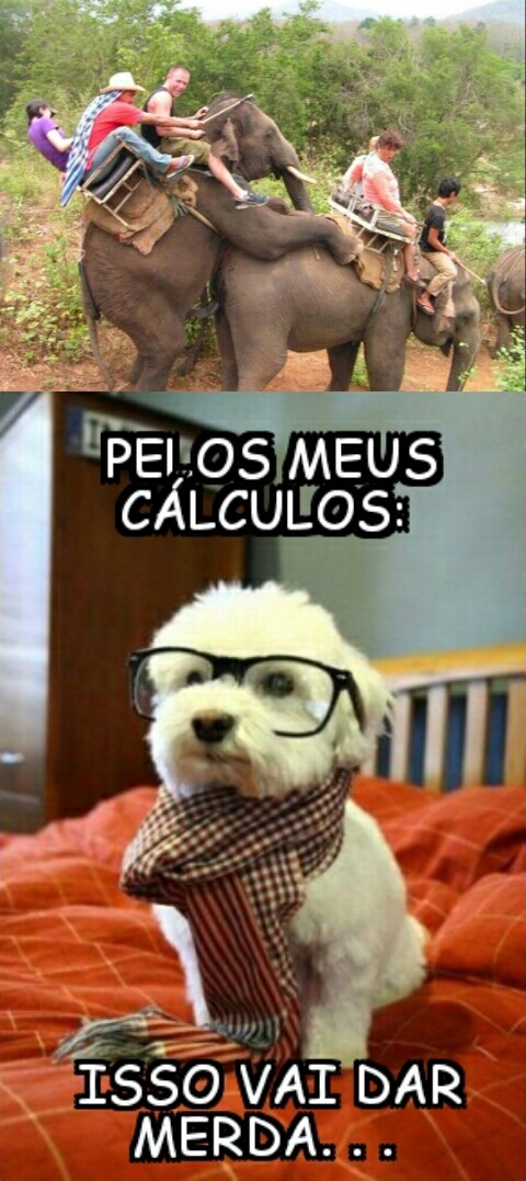 Elefantes... - Meme by Fortes :) Memedroid