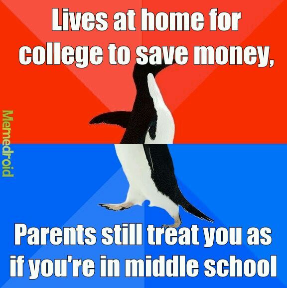 I have a fucking curfew... - Meme by asmileinabox :) Memedroid